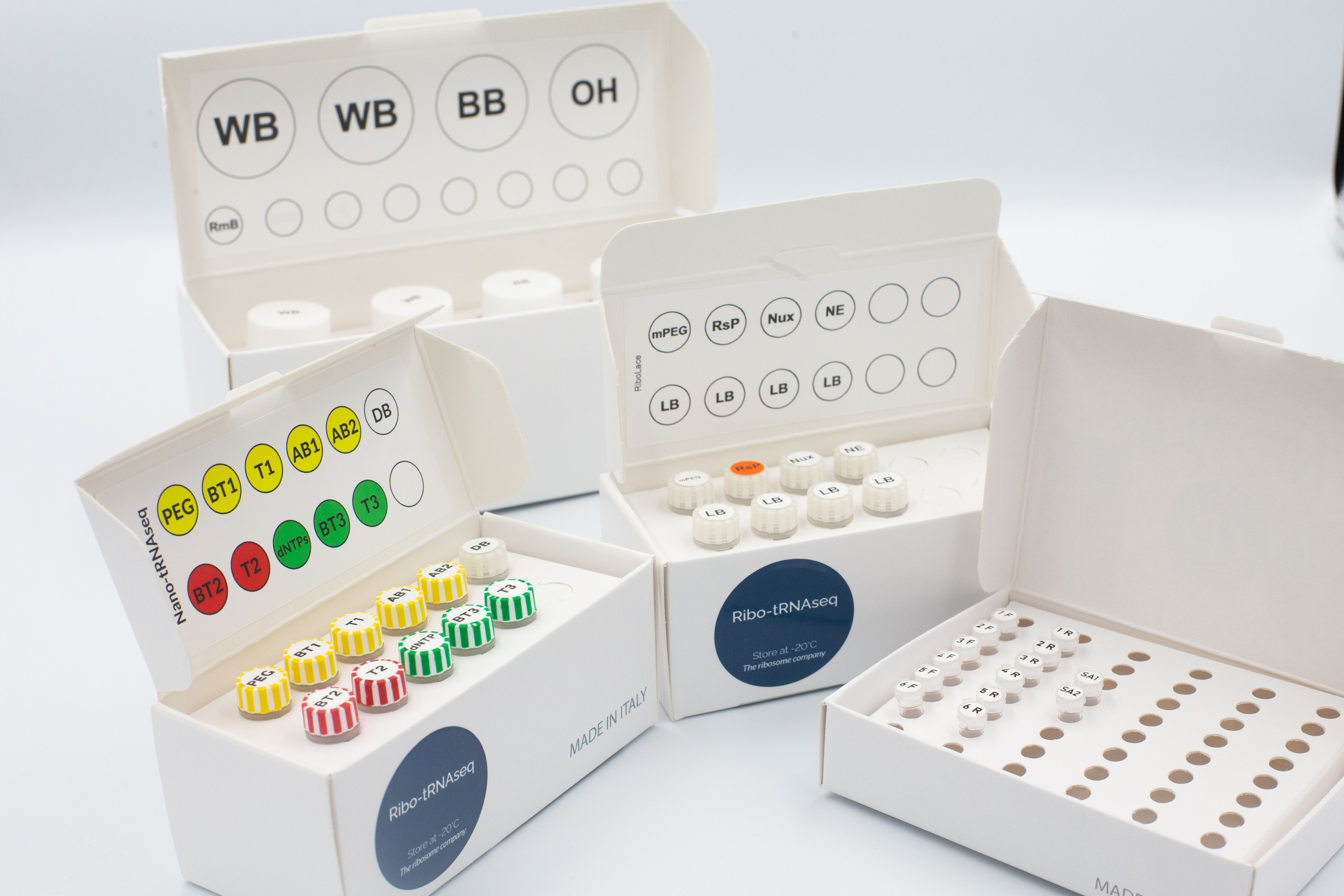Ribo-tRNAseq Kit | RLNTR-12
