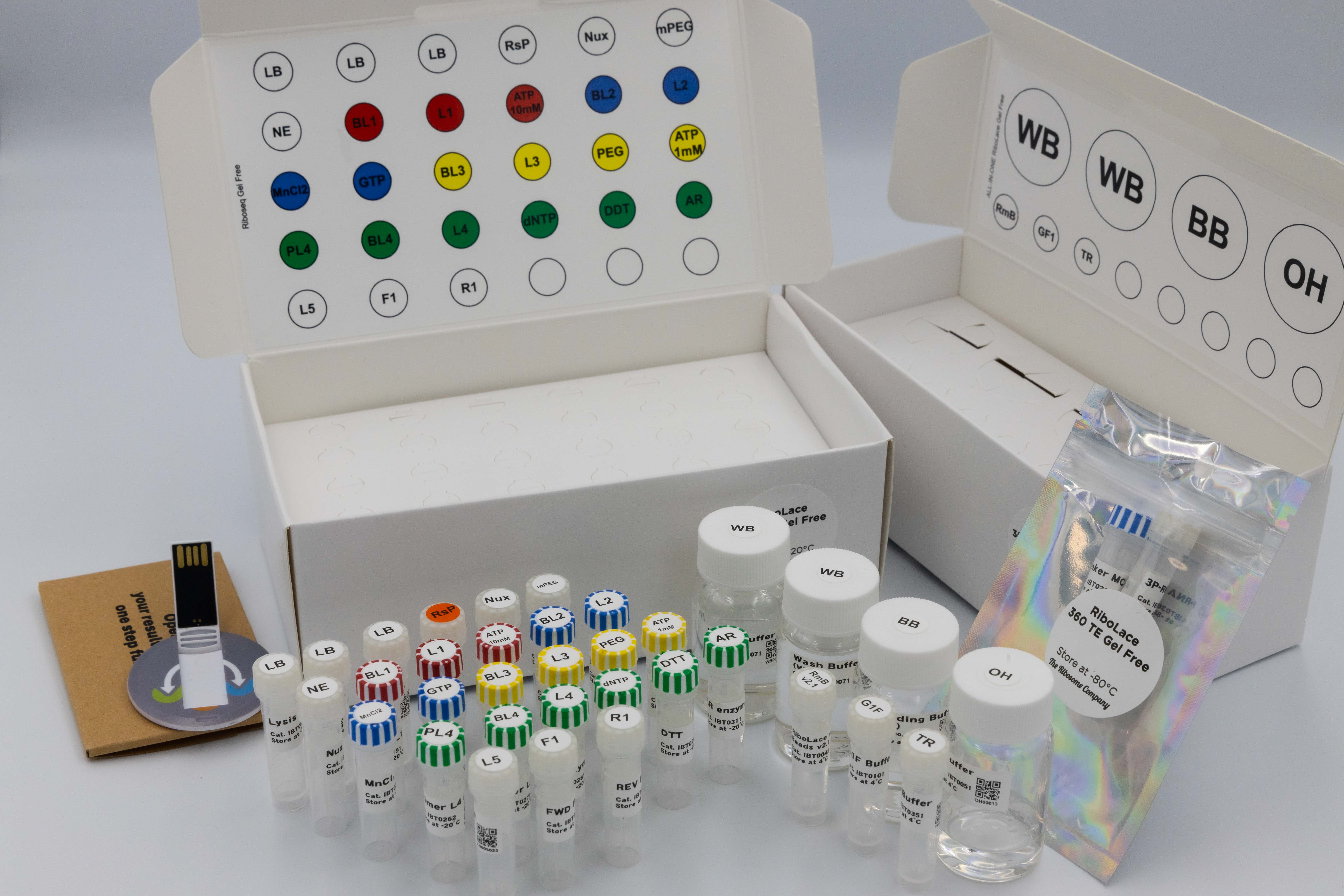 RiboLace 360 TE Gel Free Kit - Products by Immagina Biotech