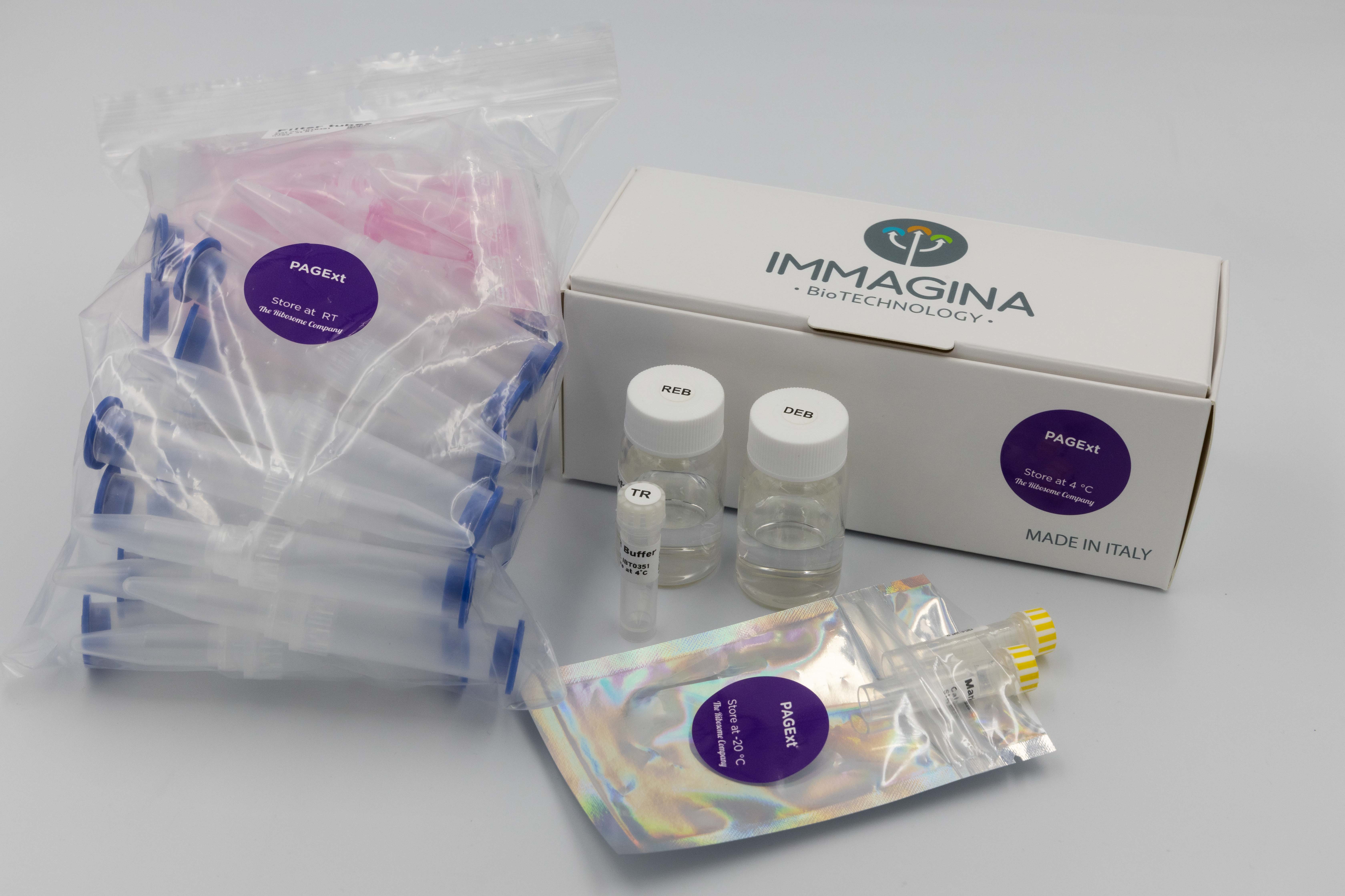 PAGExt - gel extraction kit - Products by Immagina Biotech