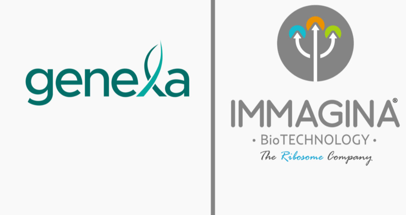 Collaboration with Genexa - Immagina Biotech
